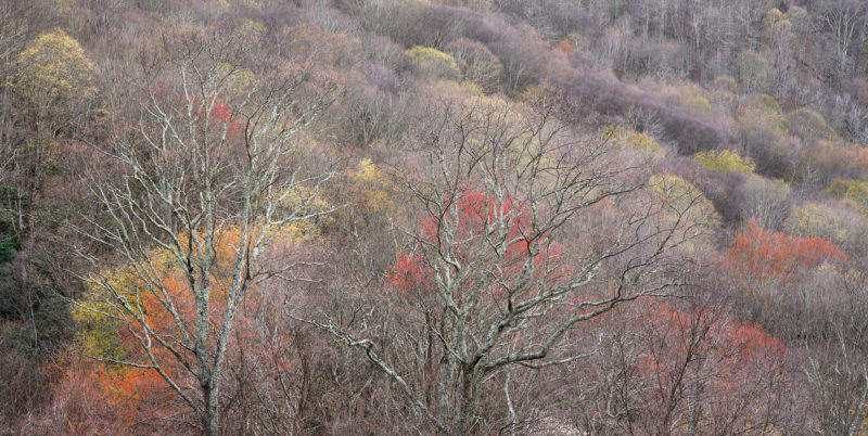 Blue Ridge Parkway