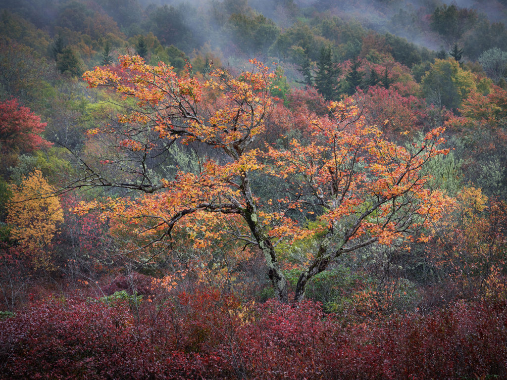 Blue Ridge Parkway