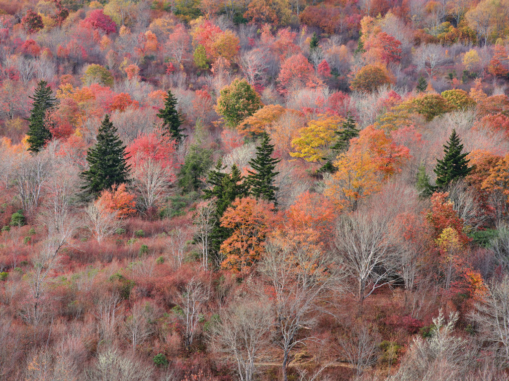 Blue Ridge Parkway